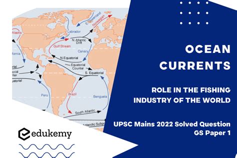 What Are The Forces That Influence Ocean Currents Describe Their Role