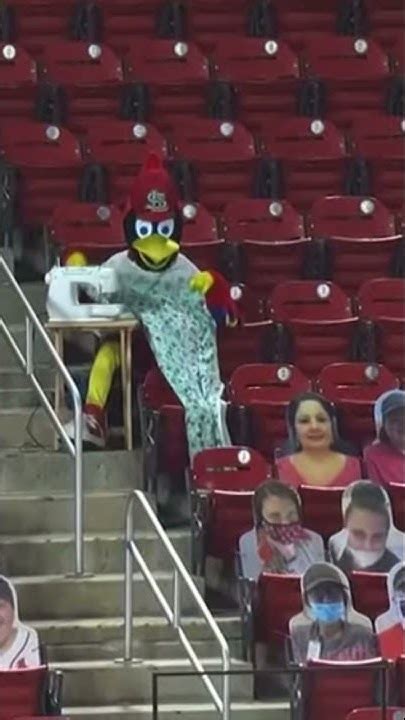 Funny Fredbird Sewing Youtube