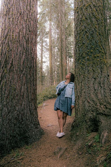Perfectionism Therapy Las Vegas Nevada Sequoia Counseling Group