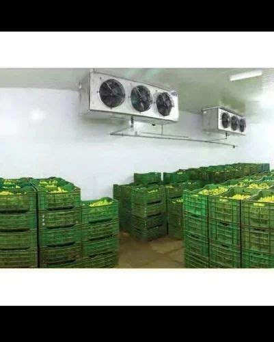 Automatic Mango Banana Ripening Chamber 16 24 At ₹ 220000 In Rangareddy