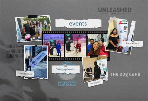 Alaa Ateya On Linkedin The Best Is Yet To Come ♥️ 🦄