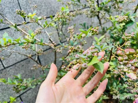 人生是走出来的 知乎