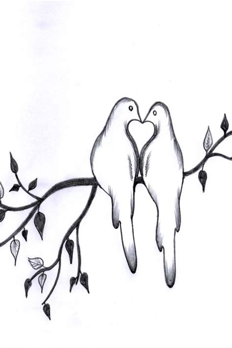 Simple Bird Drawing