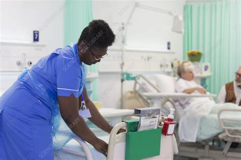 Female Nurse Making Hospital Bed Stock Image F0285427 Science