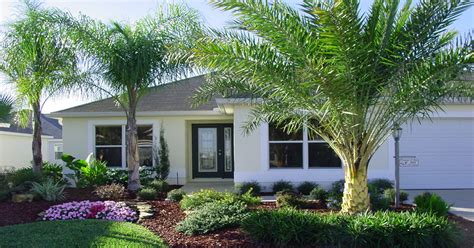 How Far Apart Or Close To Plant Palm Trees Ideal Distance