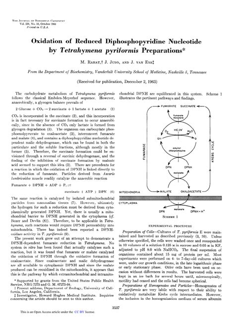 Pdf Oxidation Of Reduced Diphosphopyridine Nucleotide By Tetrahymena Pyriformis Preparations