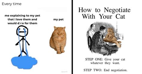 Hissterical And Self Obsessed Orange Cat Memes For Your Monday Mood Booster I Can Has Cheezburger