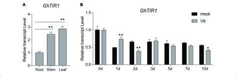 Tissue Expression Profile And Pathogen Induced Expression Profile Of