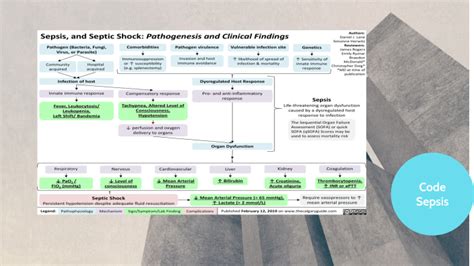 Sepsis And Septic Shock Pathogenesis And Clinical Findings By David