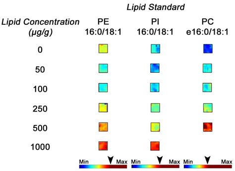 3 Maldi Imaging Mass Spectrometry Ims Of Tissue Standards Spiked Download Scientific Diagram
