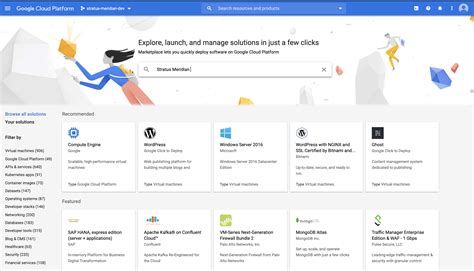 Setting Up Stratus Meridian S Developer Portal For Apigee On Google