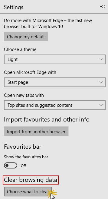 Clearing Browser Cache History Bizview