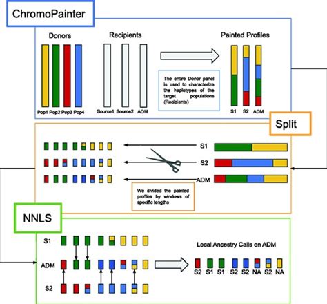 Inferential Methods From Gbe Smbe Journals Oxford Academic