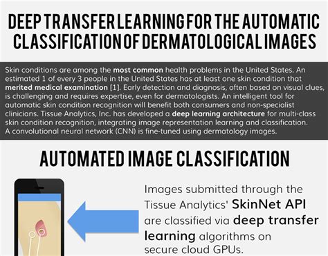 Tissue Analytics Deep Learning Infographic On Behance