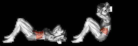 Isotonic Exercises Type Benefits Examples Mobile Physio