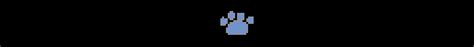 Will Cat Fleas Bite Humans Vet Reviewed Facts And Faqs Catster