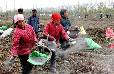 农业种植中地下害虫危害严重，如何有效防治地下害虫，蛴螬蝼蛄等 知乎