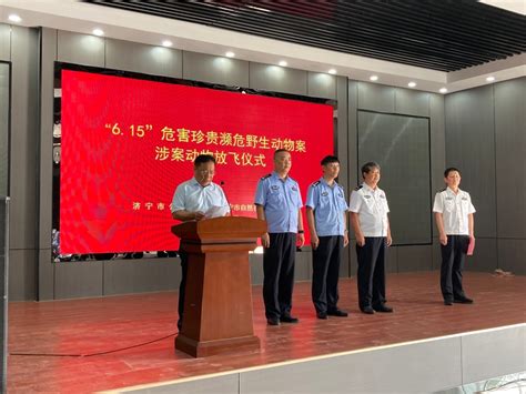 济宁市自然资源和规划局市林业局 市内新闻 济宁市救助放飞100余只国家二级保护动物