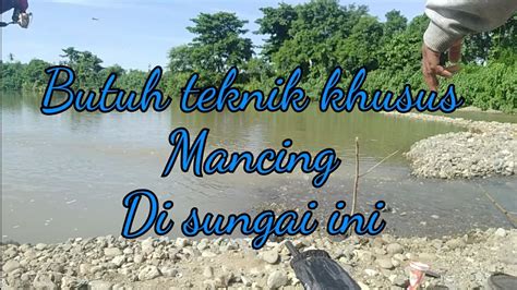 KALO REJEKI TIDAK KEMANA BUTUH TEKNIK KHUSUS MANCING TERBAIK