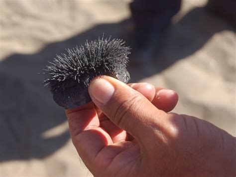 What Is The Science Behind Magnets Magnetism Explained Magnet4sale