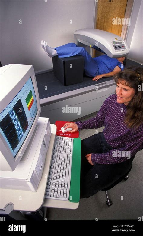 Bone Density Research Stock Photo Alamy