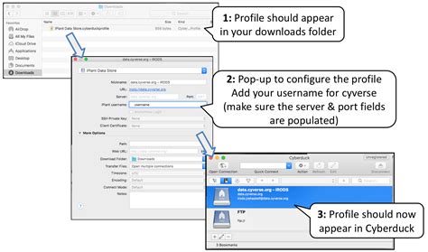 Custom Data Upload Creating URLs For Large Files Ensembl Blog