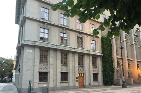 Knyttneve På Catten Gav Fengselstraff