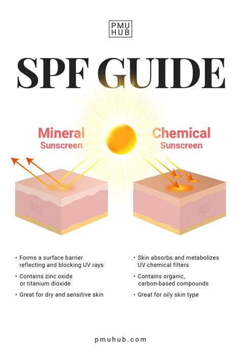 Best Sunscreen 2023 Top List Which One Suits Your Skin Skin Tips