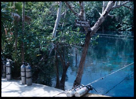 Grain And Sharpness On Dslr Film Scanning Ranalogcommunity