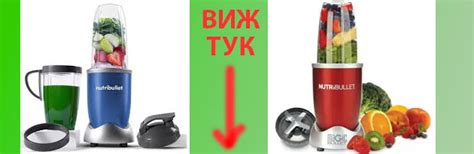 Най добър мултикукър Нинджа Мнения Женско кралство