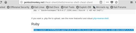 How To Start Using Swiss Army Knife Netcat