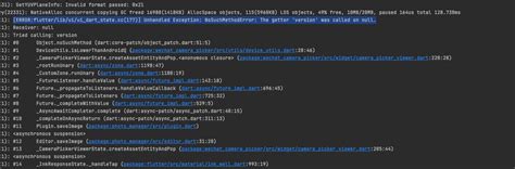 Bug Error With Something Errorflutterlibuiuidartstatecc177