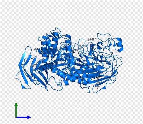 단백질 데이터베이스의 단백질 데이터 뱅크 구조적 분류 Cath 데이터베이스 Pfam 기타 푸른 본문 기타 Png
