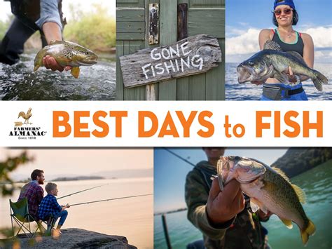 August 2024 Fishing Calendar Dione Frankie