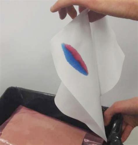 How To Manually Clean The Printheads Correctly The HP Latex Printer Series HP Large