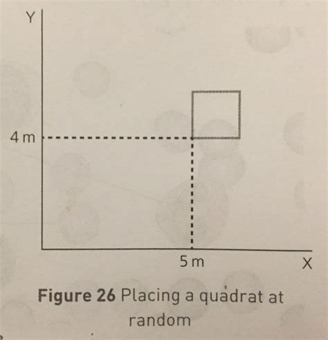 Ecological Techniques Sampling Procedures Flashcards Quizlet