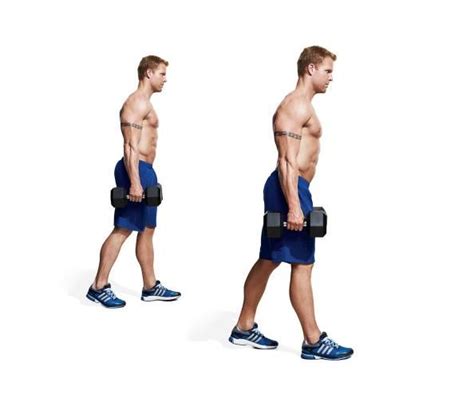 Best Forearm Exercises Forearm Workout Muscle Fitness Mens Fitness