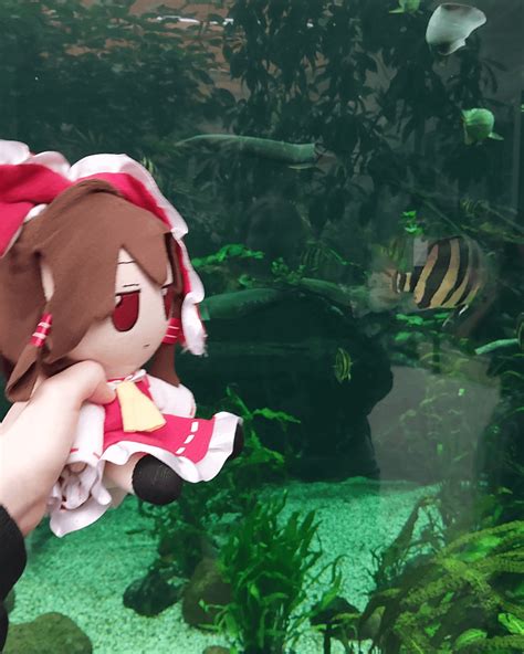 reimu fumo and fish : r/Fumofumo