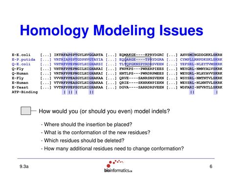 PPT Lab A Homology Modeling PowerPoint Presentation Free Download ID