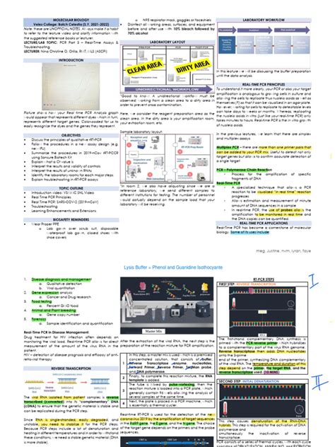 Mbdx Lab Lecture 7 Real Time Assays Troubleshooting Pt3 Download