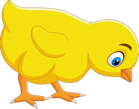 Pollito Animado
