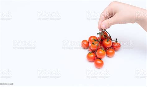 흰색 배경에 작은 빨간 체리 유기농 토마토를 들고 있는 아이 손 건강한 식생활 개념 비건 음식 복사 공간이 있는 최소 카드