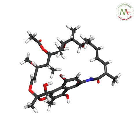 Rifamycin Thuộc Nhóm Kháng Sinh Nào Có Tác Dụng Gì Cơ Chế Tác Dụng