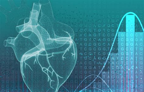 Leveraging Sequencing Technologies For Cardiovascular Research And Precision Medicine