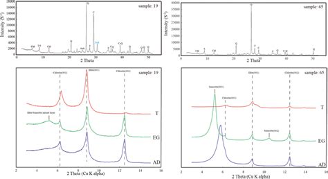 X Ray Diffraction Pattern Of The Typical Samples Abbreviations Refer Download Scientific