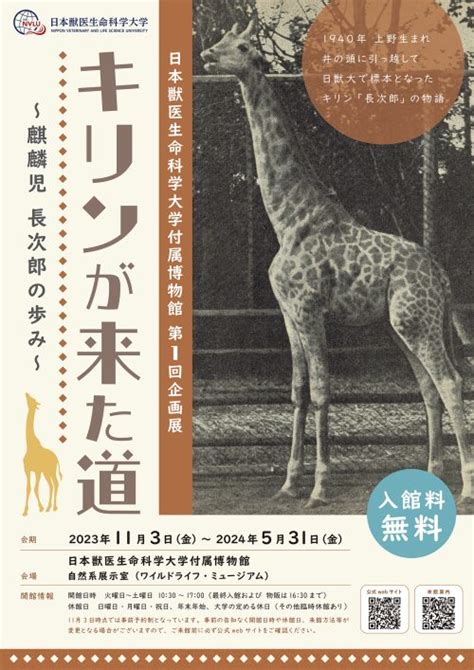 日本獣医生命科学大学同窓会 付属博物館 第1回企画展「キリンが来た道」が開催されます