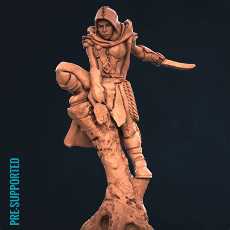 Elven Rogue Dandd