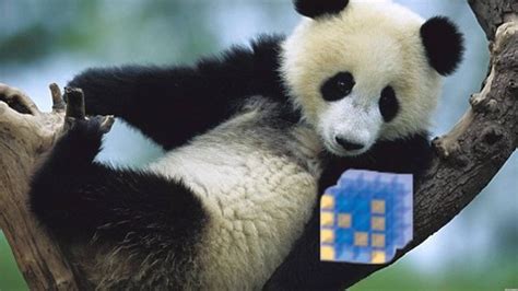 How To Get The Windows Osx Linux Export Module For Unity Cfgin