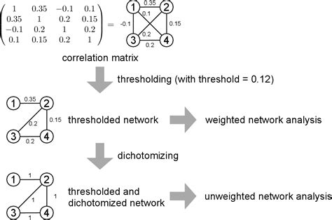 Figure 1 From Correlation Networks Interdisciplinary Approaches Beyond Thresholding Semantic