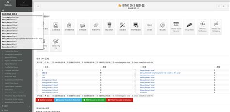 Bind Dns Server Display Problem · Issue 1336 · Webminauthentic Theme
